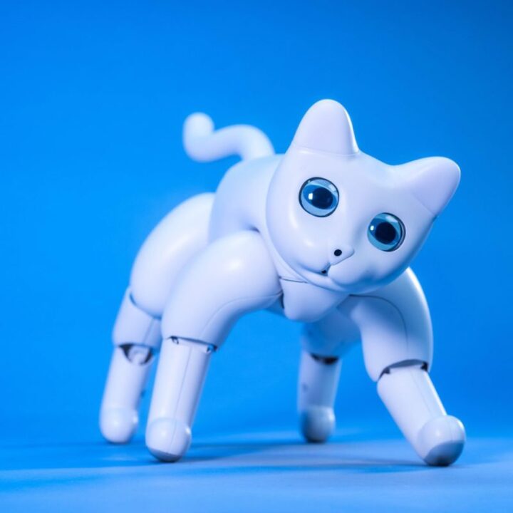 World’s First Bionic Cat: MarsCat Is Your Future Favorite Pet