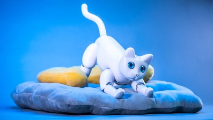 World’s First Bionic Cat: MarsCat Is Your Future Favorite Pet
