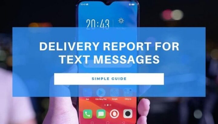 How to Check if SMS are Being Correctly Delivered?