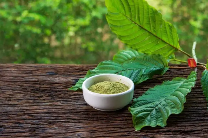 Pros and Cons of Kratom – Complete Guide