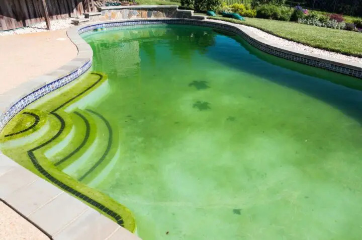 10 Important Tips to Keep your Pool Well Maintained all Year Round