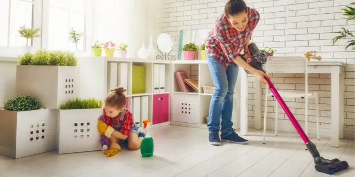 How To Organize and Clean Your House