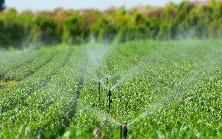 Top Irrigation Systems: How to Choose