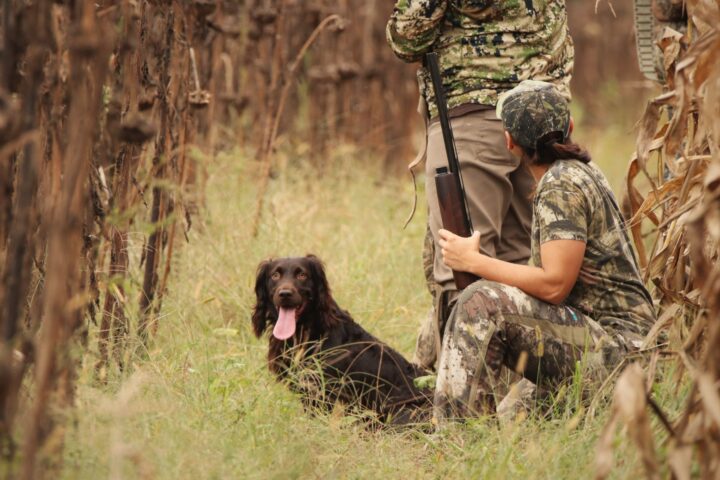 Best Hunting Guide School 2024 - Complete Guide & Review