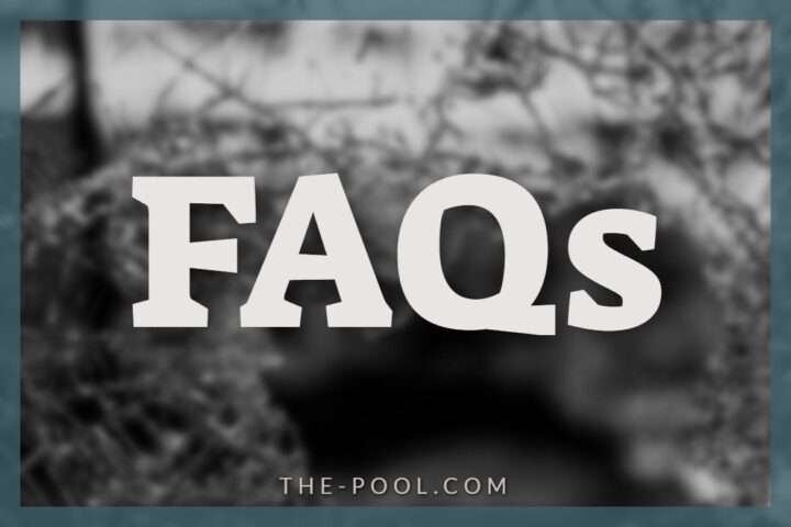 12 Best Bullet Proof Windows For Home 2024 - Safety & Security