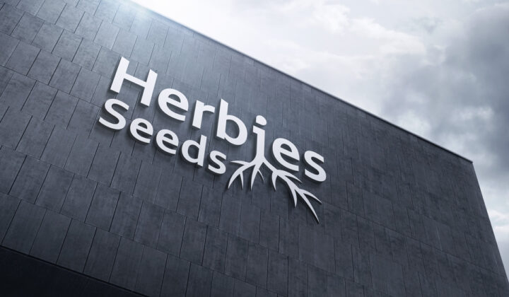 Cannabis Seeds for Sale in the USA: A Complete Buying Guide