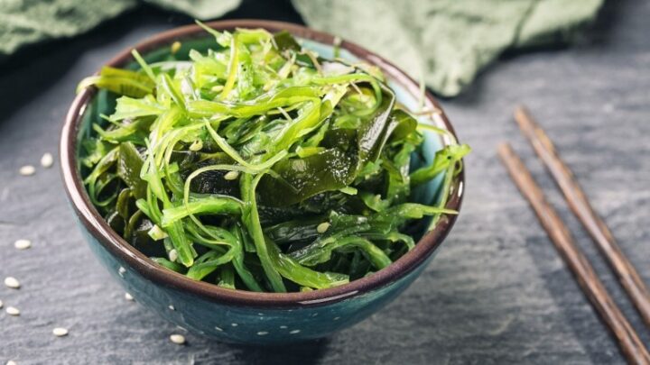 Everything You Need to Know About Sea Moss