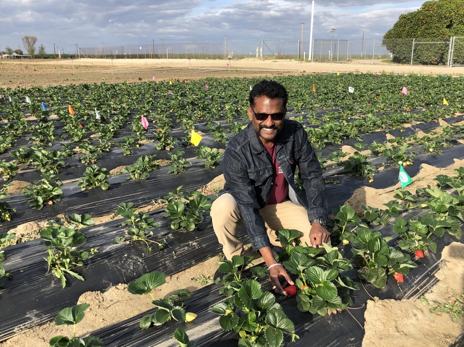 Integrated Pest Management: What is it, and how does it work?