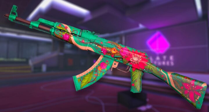 What is the Rarest CS: GO Skin