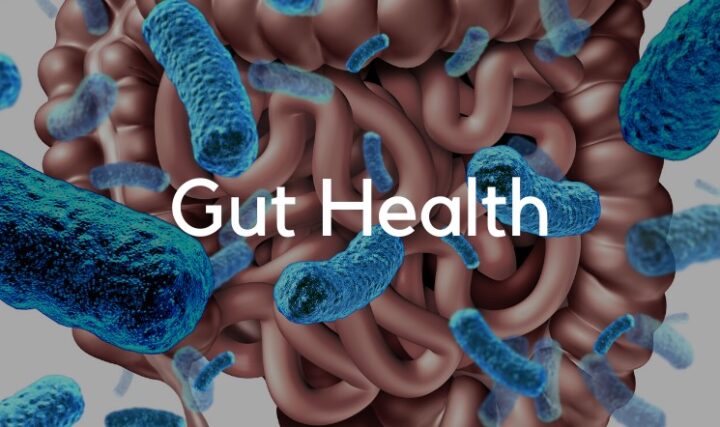 Tips for Improving Gut Health