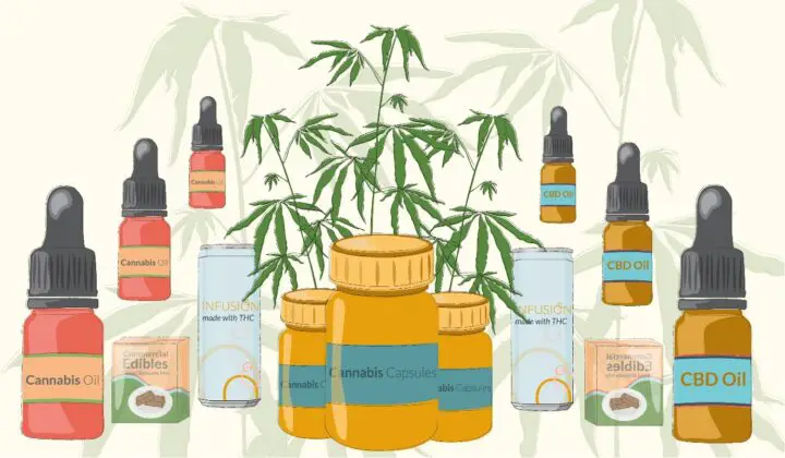 What are the Different Types of CBD Oil?