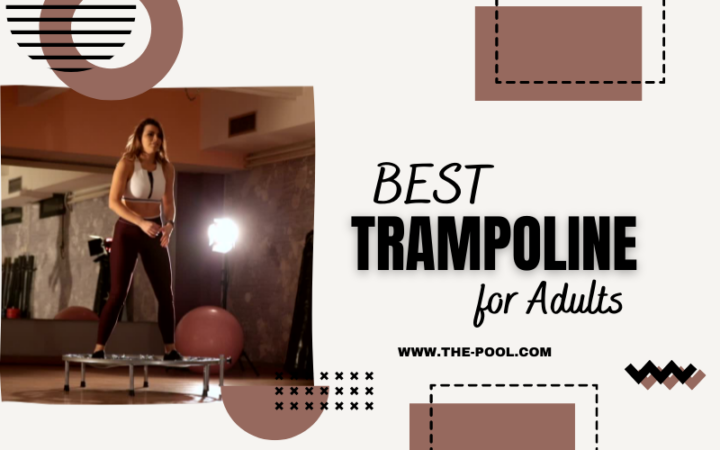 13 Best Trampoline for Adults 2024 - Fitness & Fun