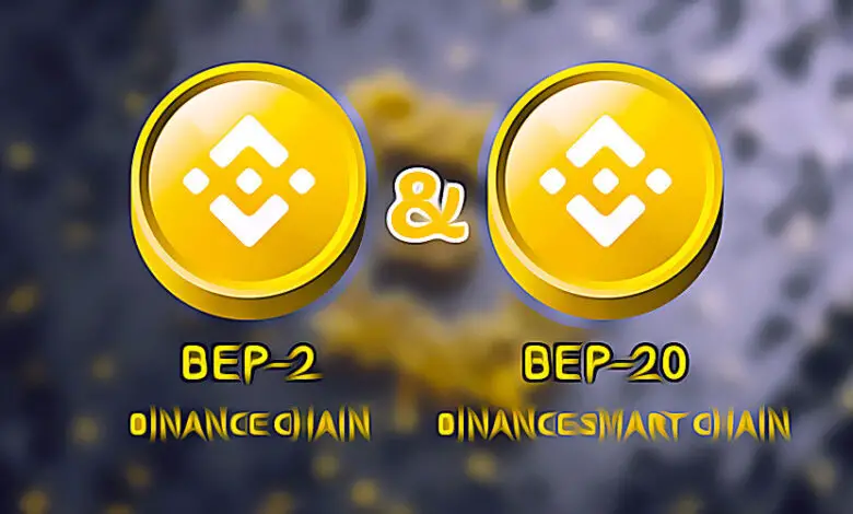 BEP-20 vs. BEP-2: Advantages and Disadvantages