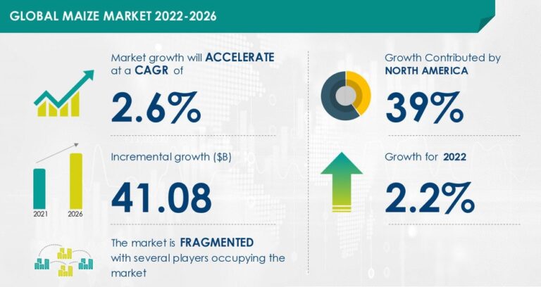 What can you Foresee in the Current Global Maize Market?