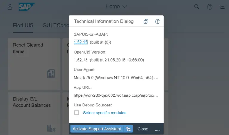 Overview of Functional Differences Between SAP Options
