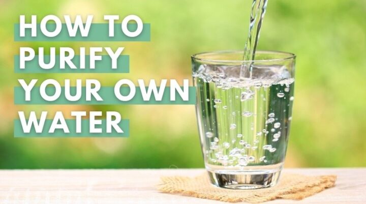 4 Ways To Purify Water At Home Without Spending A Lot Of Money