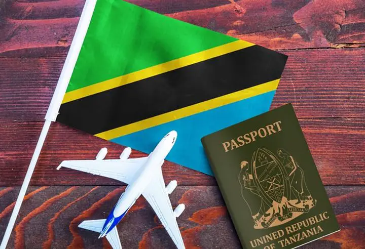 What Are The Requirements For A Tanzania Visa Application?