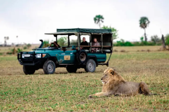 Botswana's Hidden Gems: Lesser-Known Safari Attractions to Visit in 2024