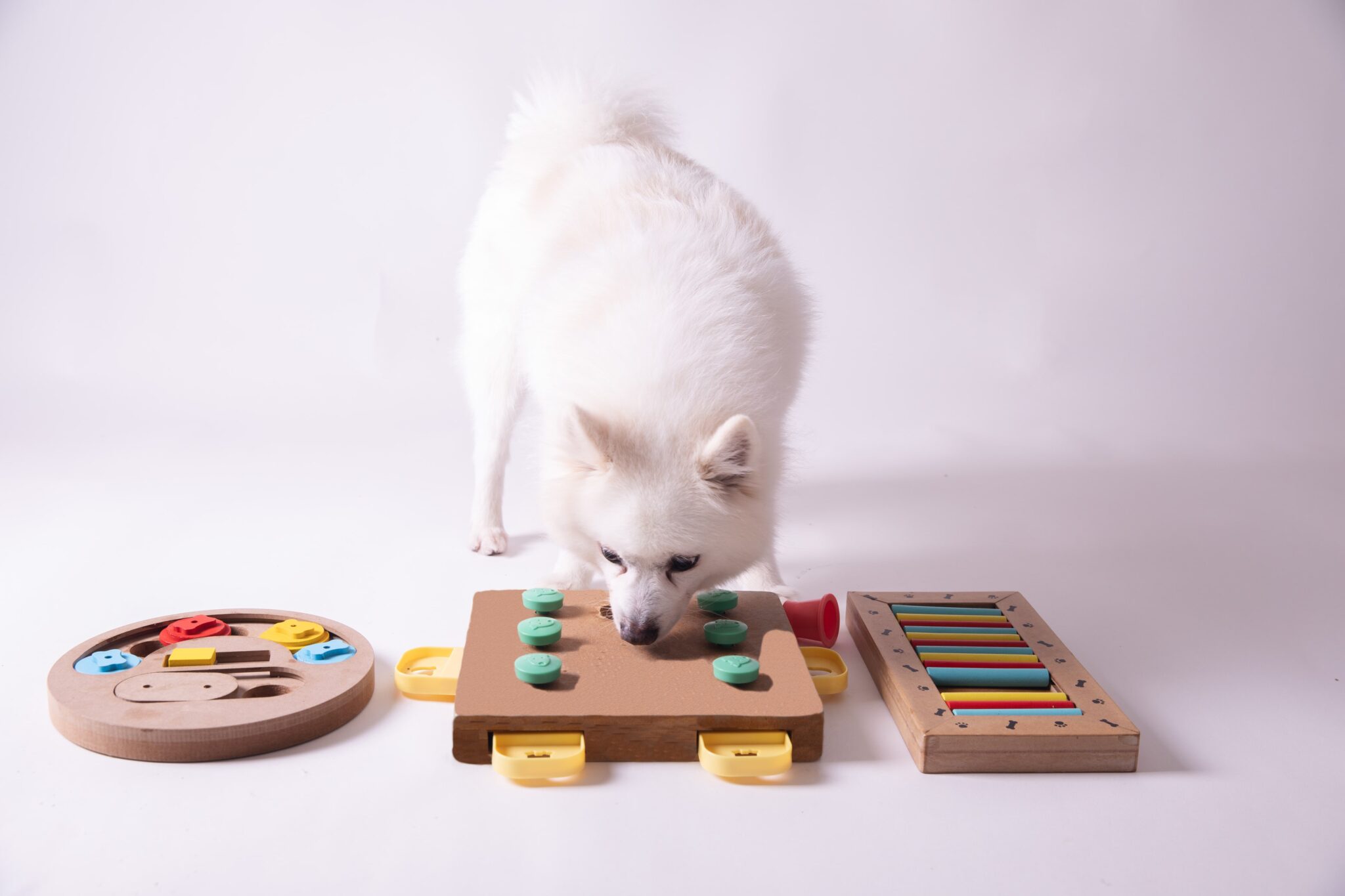 Boredom Busters: A Guide to Intelligence Toys for Happy Dogs