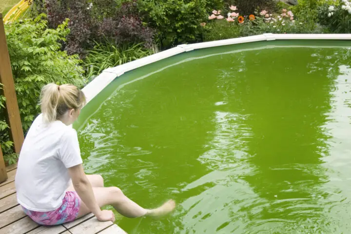 How to Clean a Green Pool: Expert Tips for a Crystal-Clear Oasis